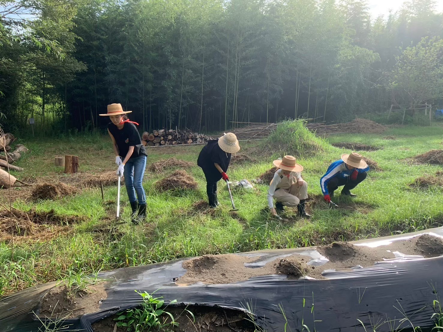 Refarm -支え合いで未来を耕す、 自給自足型コミュニティ